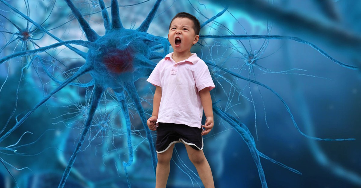 Brain Memory Mystery Solved: Scientists Uncover New Discovery - News ...