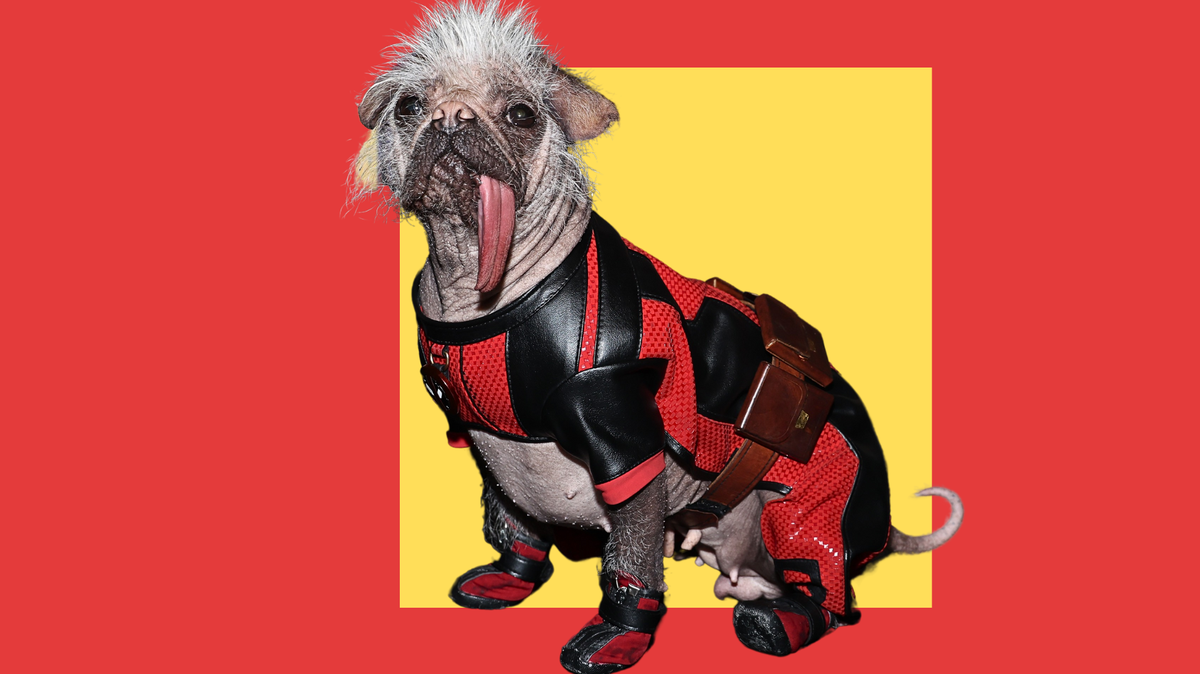 Qui est Peggy, le chien moche du film Deadpool & Wolverine?