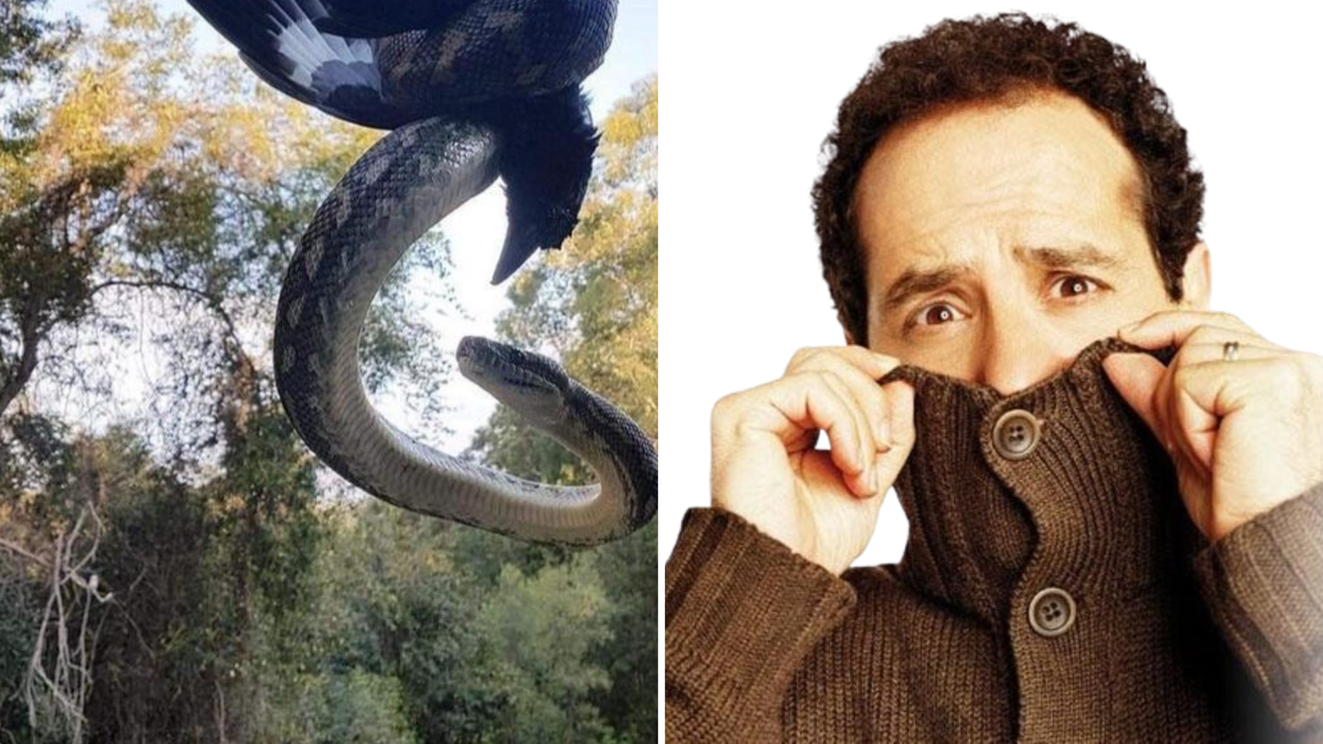 Voici 22 animaux terrifiants qui vont vous hanter