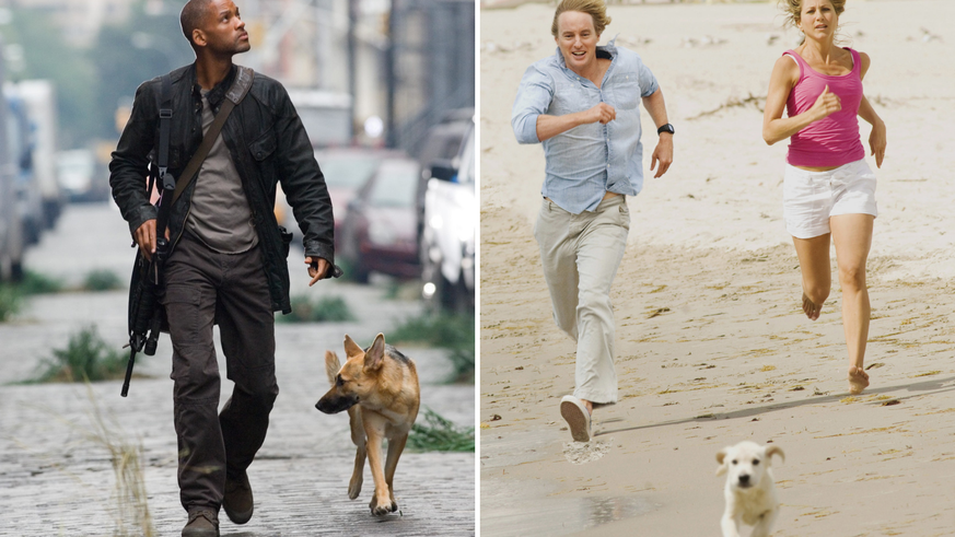 Ces films avec des chiens vont vous faire pleurer