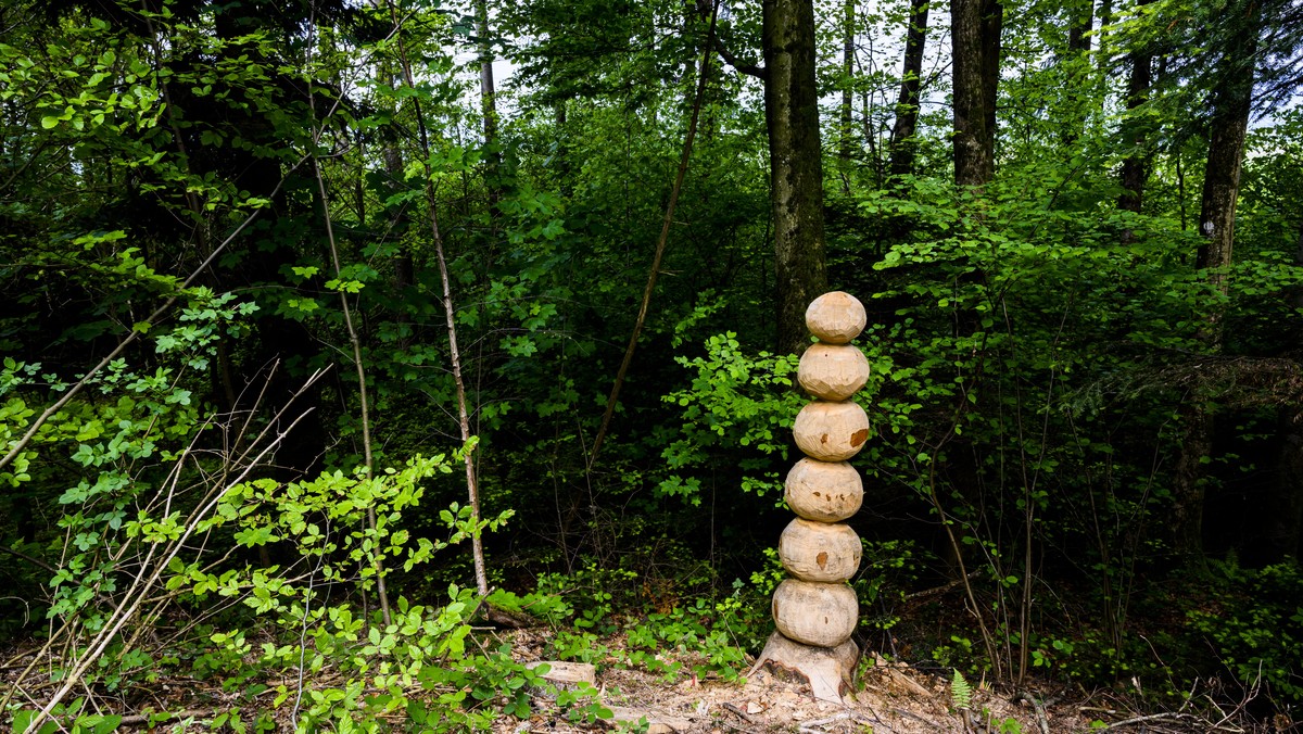 Un jeune perd la vie en tombant dans un ravin à Fribourg
