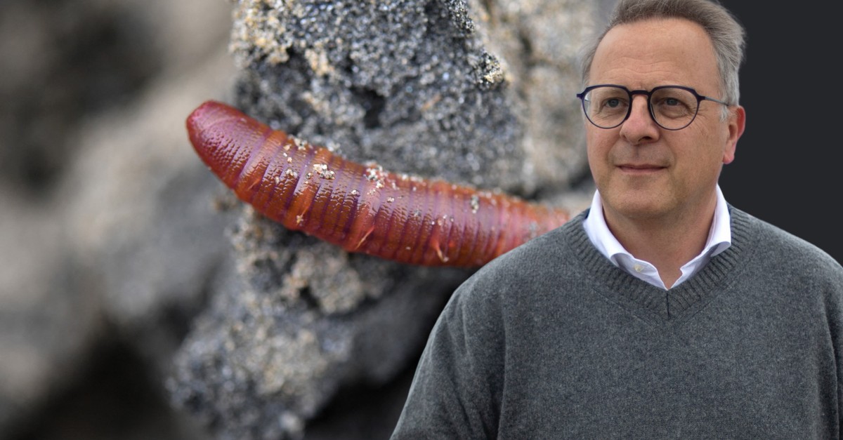 Il peut sauver les grands brûlés de Crans-Montana avec un ver