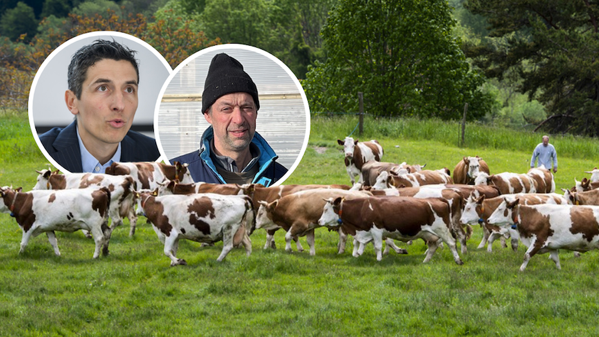 Initiative sur la biodiversité: «Il faudra aller acheter bio»