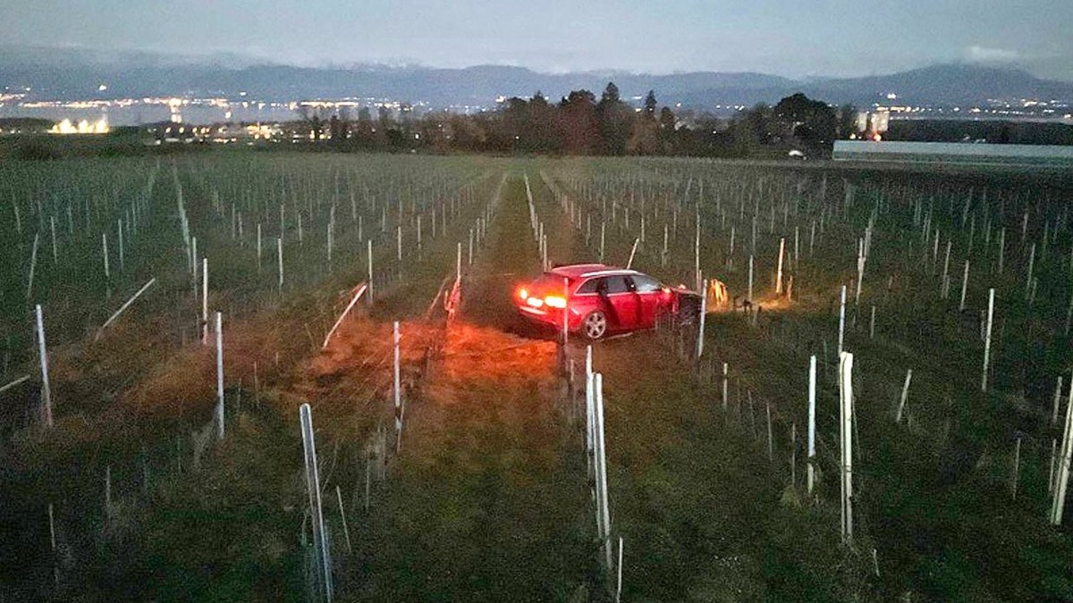 Le Vaud (VD): la voiture des malfrats finit dans les vignes