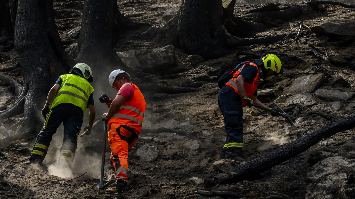 Übergang in normale Lage: Waldbrand in Bitsch VS stabilisiert