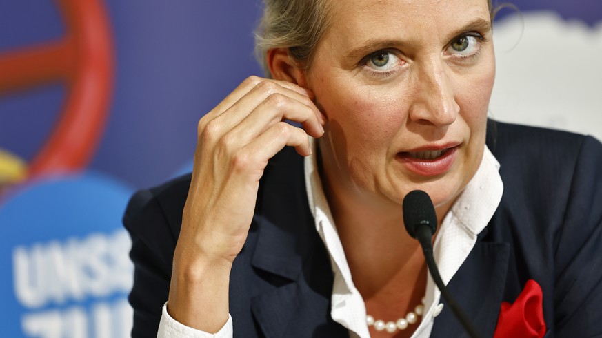 «Wir werden absolut verarmen»; AfD-Chefin Weidel malt Horror-Szenario