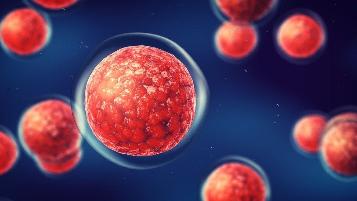 Forschungsteam züchtet erstmals synthetische menschliche Embryonen