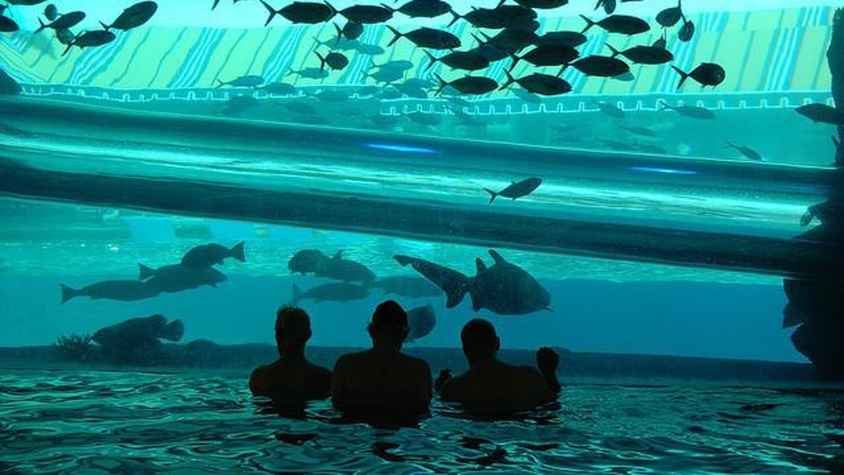 17 Wasserrutschen, die Bock auf die Badis machen (und auf das Reisen)