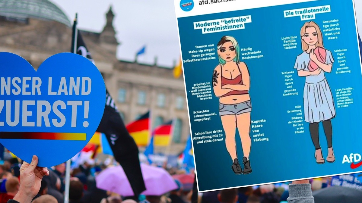 Afd Nutzt Frauenfeindliche Memes Und Zieht Spott Auf Sich