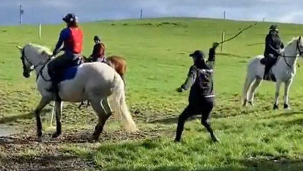 Schock-Video: Olympiasieger Mark Todd schlägt mit Stock auf Pferd ein