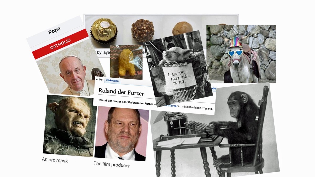 24 der bizarrsten Wikipedia-Einträge