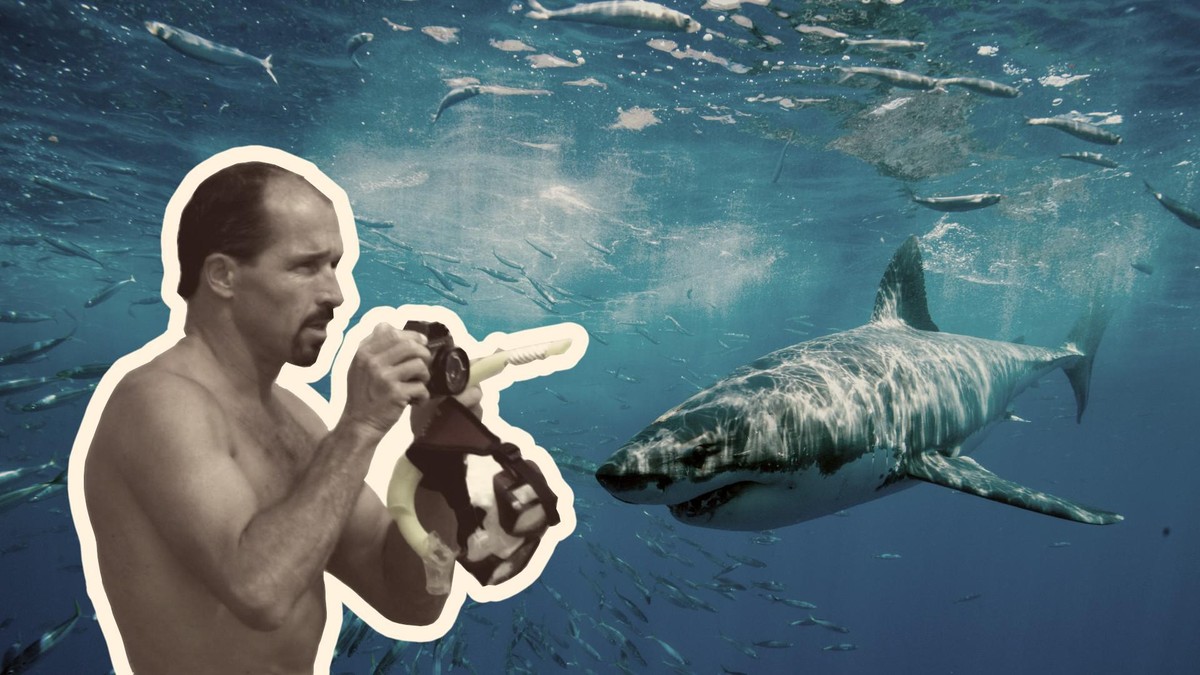 Interview mit Haiforscher Erich Ritter:«Stirbt der Hai, stirbt das Meer»