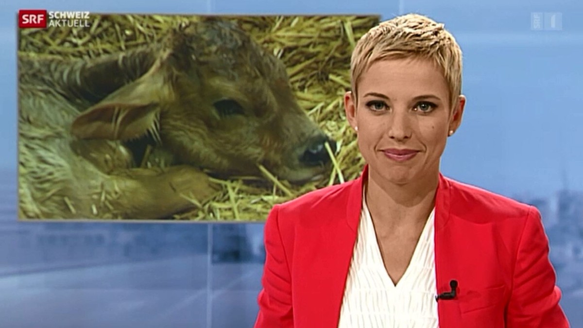 SRF-Moderatorin nach Schweiz-Kritik am Pranger