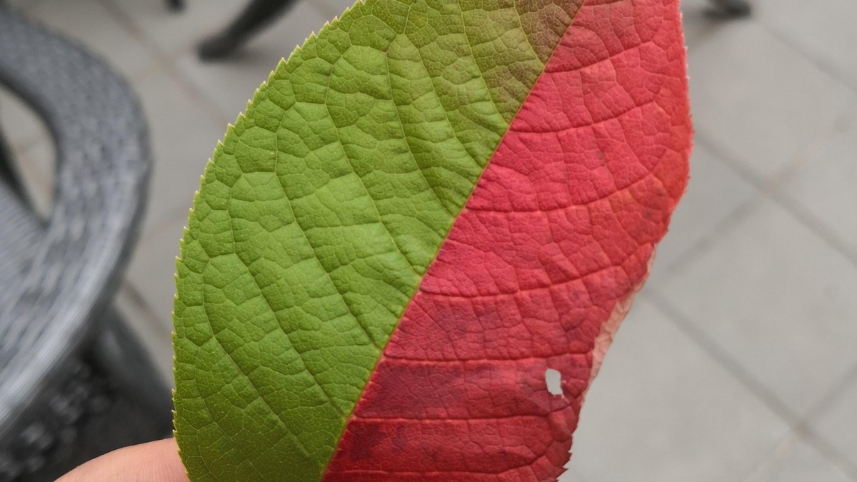 21 Bilder, die den Perfektionisten in dir spitz machen