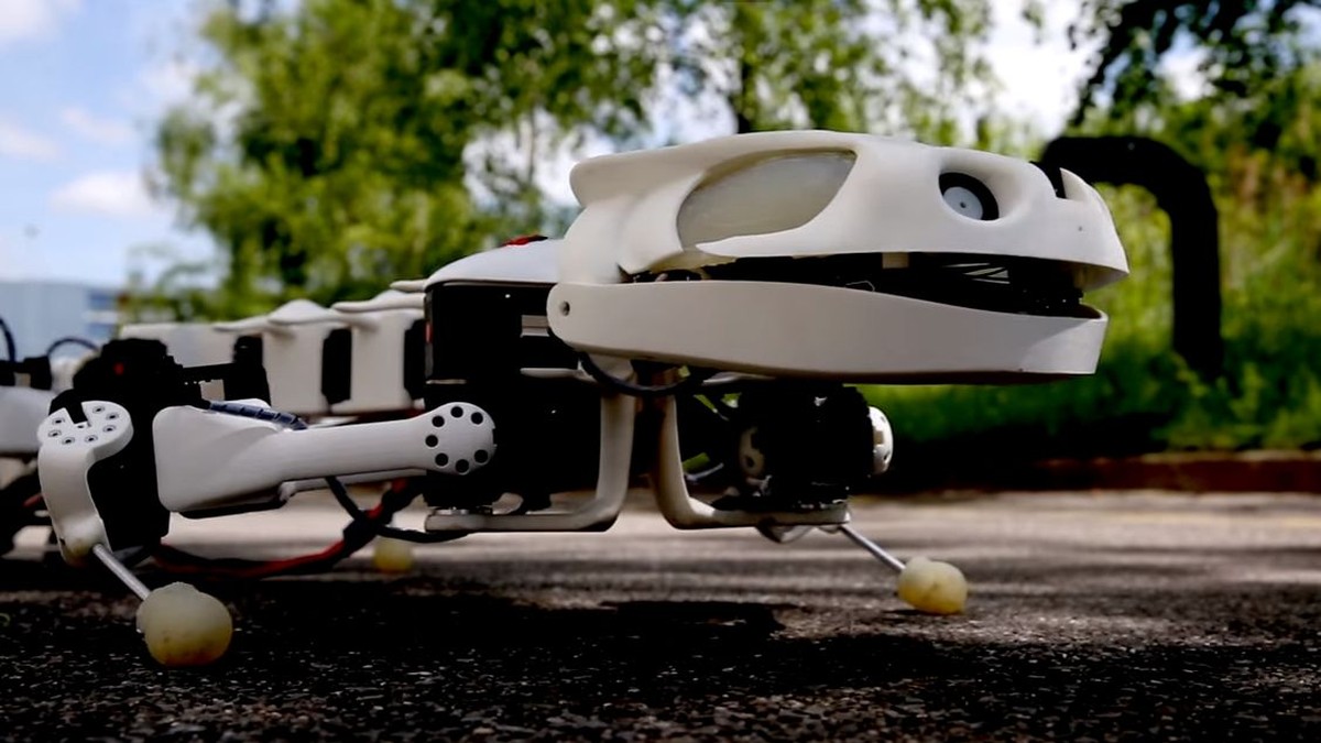 Salamander-Roboter: «Pleurobot» imitiert natürliche Bewegung