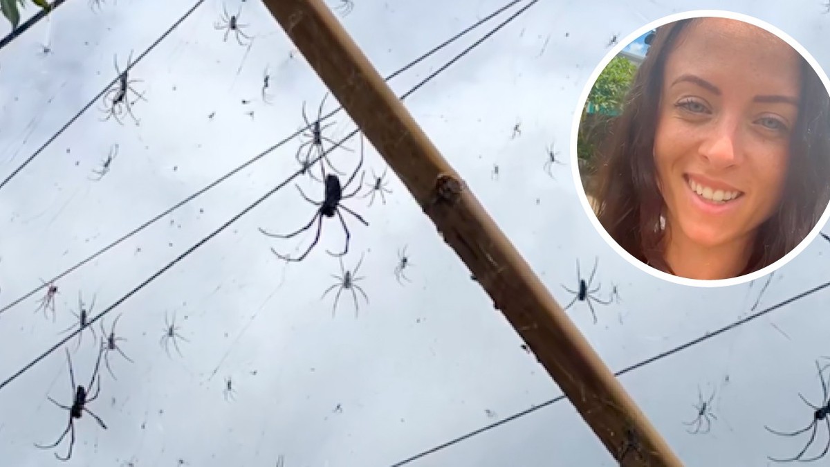 TikTokerin defluenct Bali mit schaudererregendem Spinnen-Video