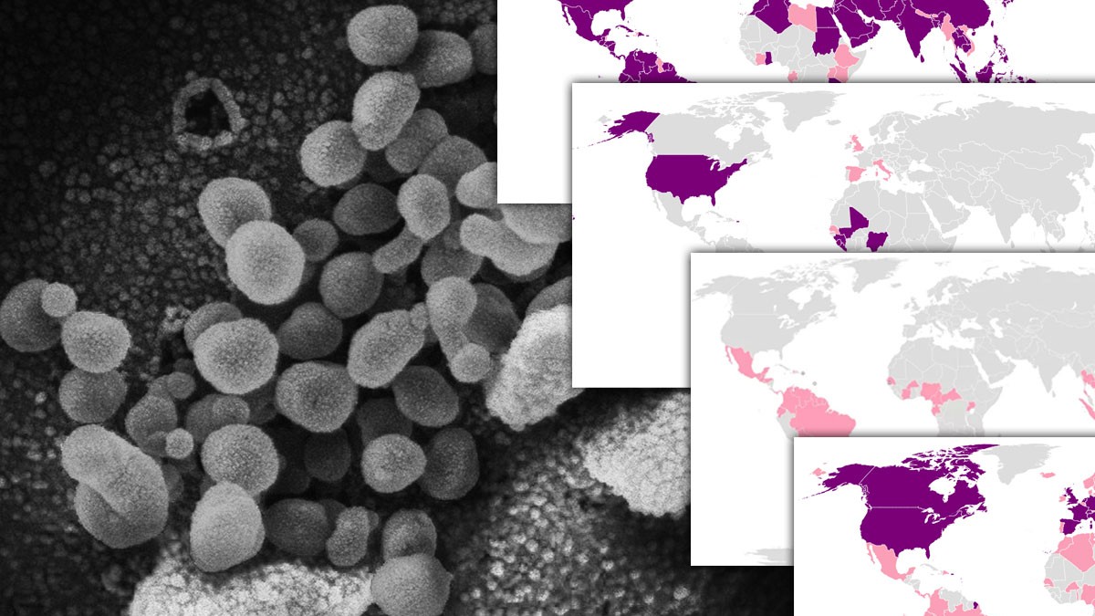 Vom Coronavirus, Ebola, SARS und weiteren Viren betroffene Länder