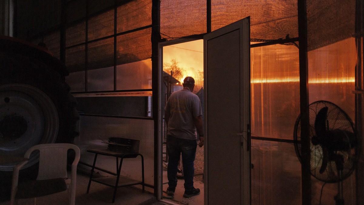 Hitze in Europa: Die Waldbrände in Griechenland, Teneriffa und Kanada