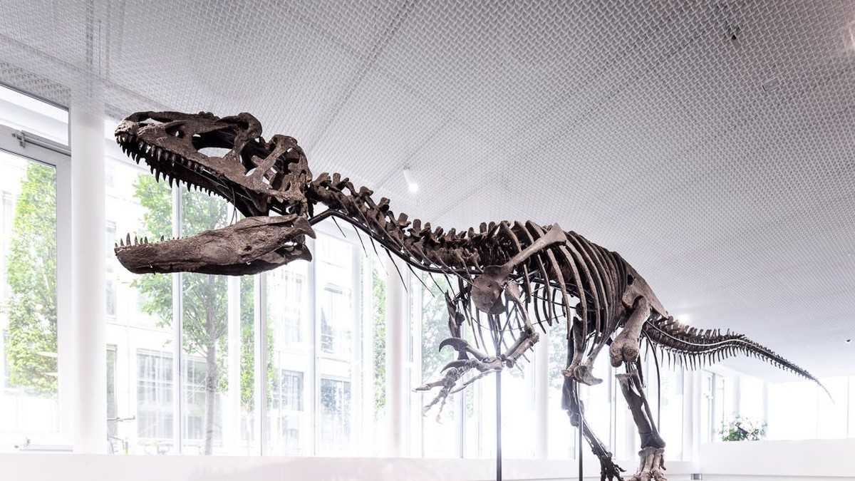 Dino für Basel – Novartis übergibt dem Naturhistorischem Museum Skelett