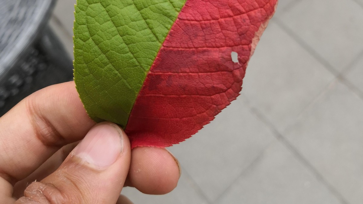 21 Bilder, die den Perfektionisten in dir spitz machen