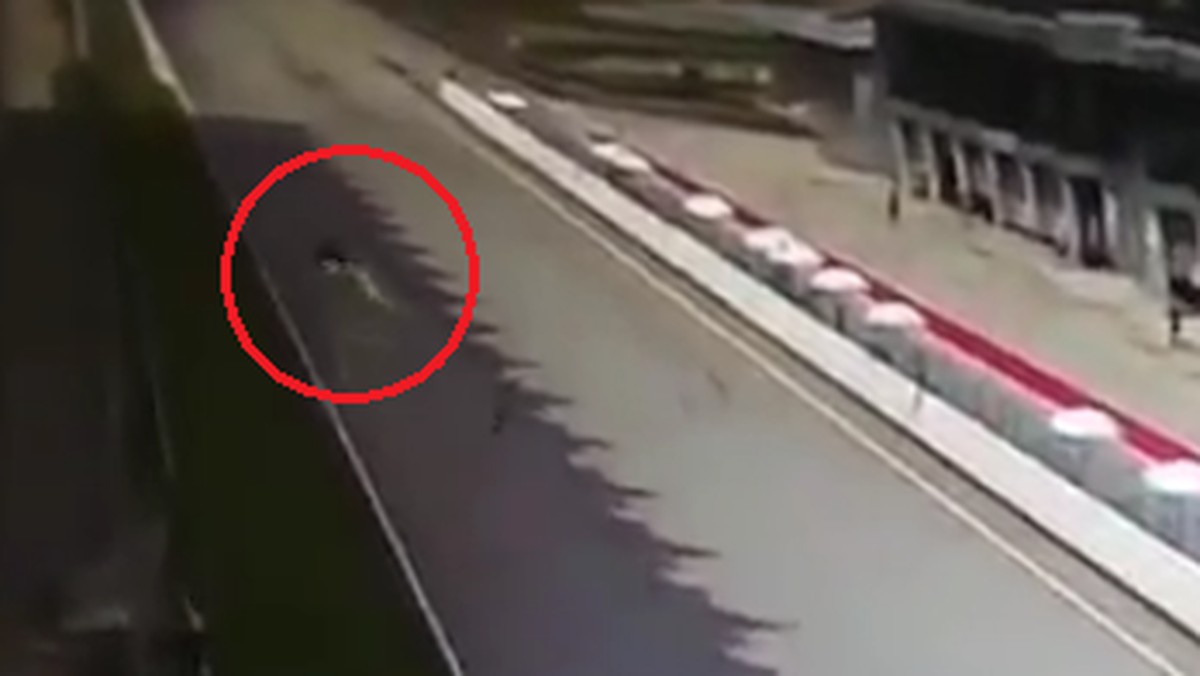 Horror-Crash mit 290,4 km/h! Bei MotoGP-Pilot Baz platzt bei voller ...