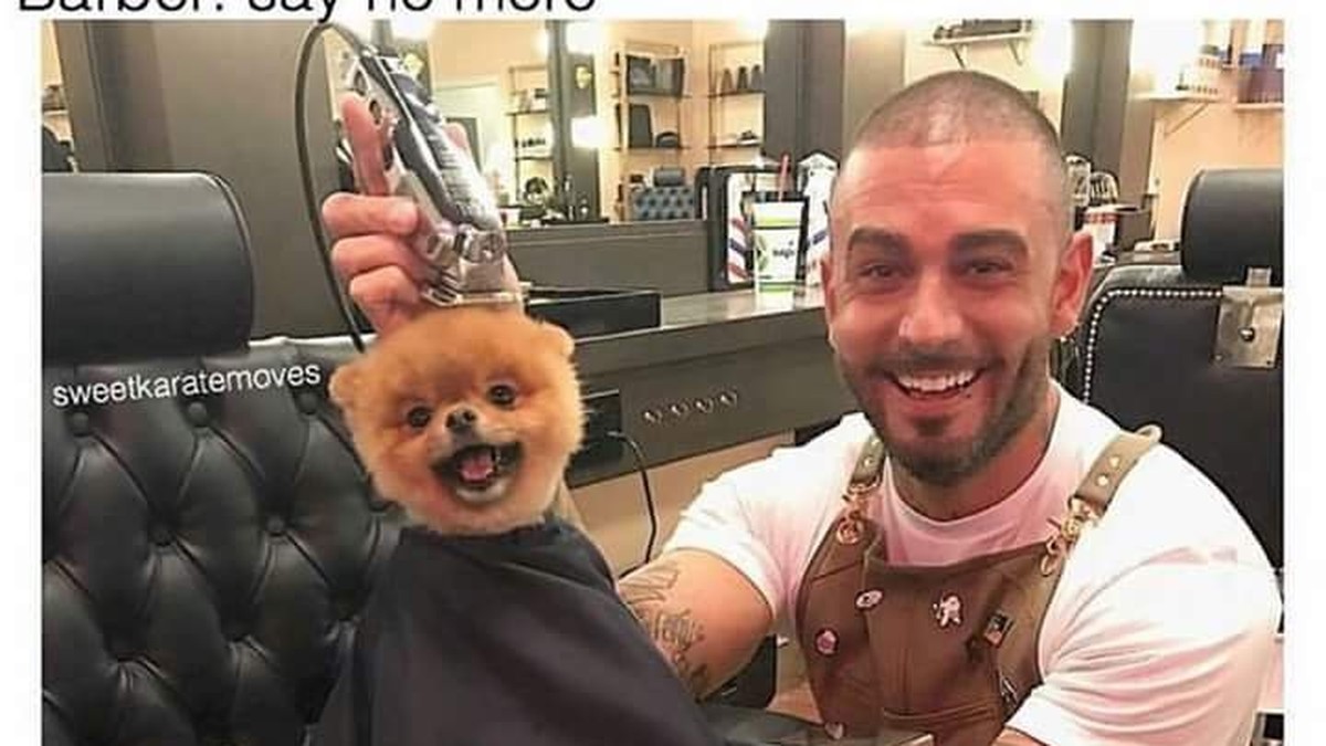 watson Picdump gegen Langeweile: Die lustigsten Internet-Pics