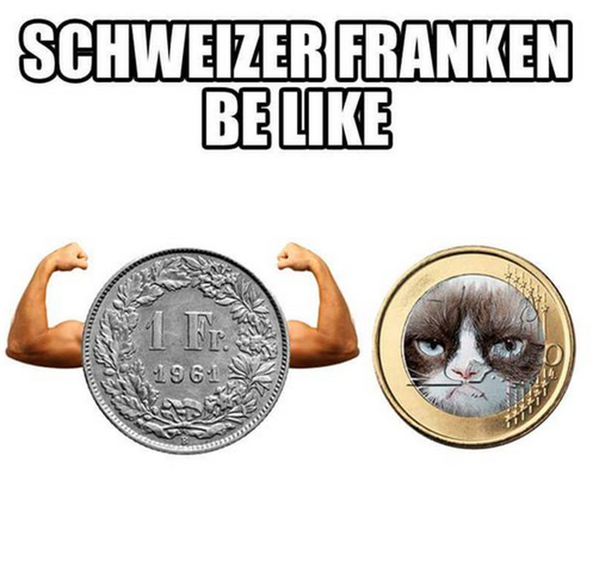 So macht sich das Internet über den Euro lustig