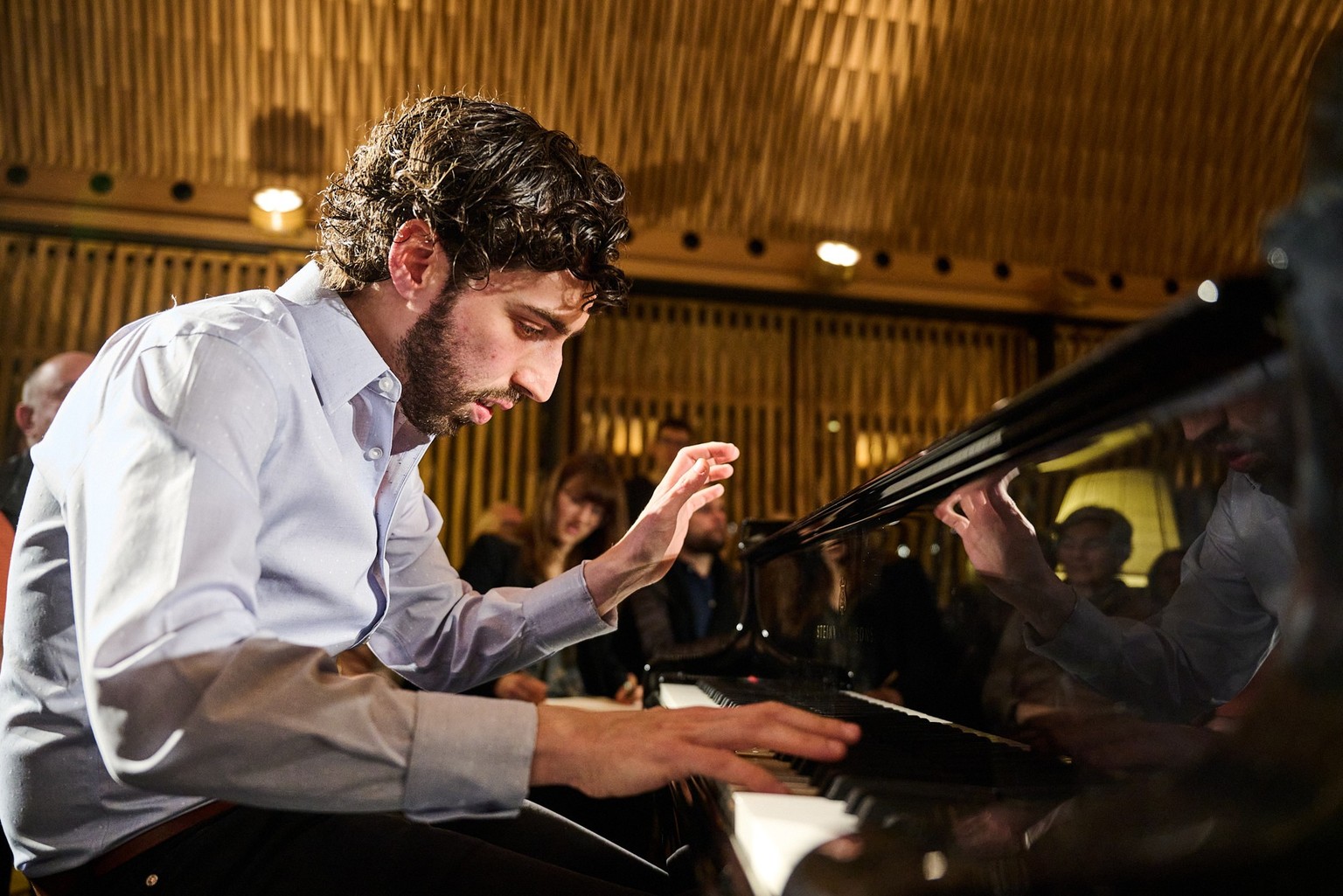 Musig im pflegidach, Vorlage