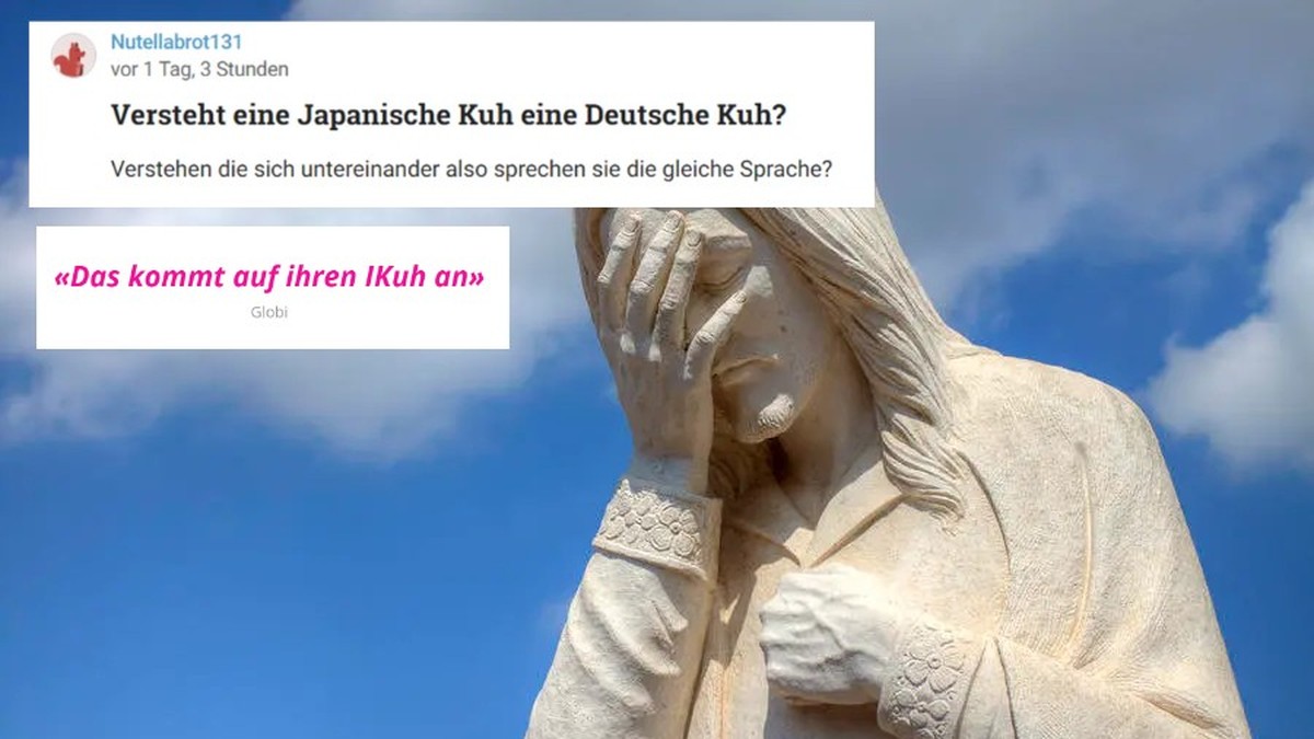 18 doofe und lustige Fragen aus dem Internet – und die besten Antworten ...