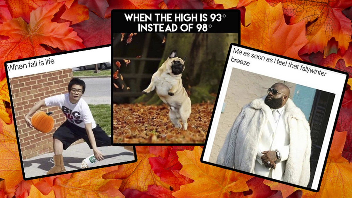 26 Memes, die unsere Freude auf den Herbst ziemlich gut widerspiegeln