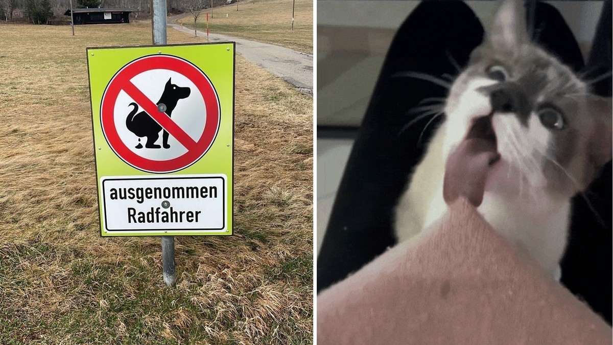 Brauchst du was zu lachen? Hier sind die 25 lustigsten Fails der Woche