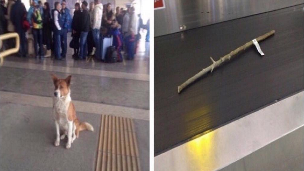 watson Picdump gegen Langeweile: Die besten Bilder der Woche