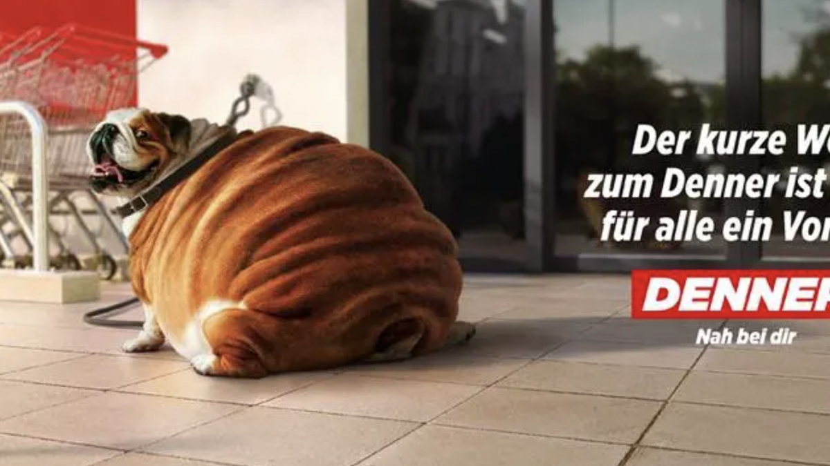 Denner wirbt mit dicken Hunden – Katholiken fordern Abbruch der Kampagne