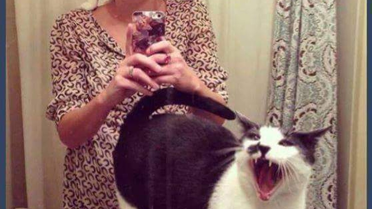 watson Picdump gegen Langeweile: Das Beste aus dem Internet!