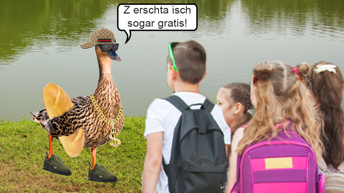 Picdump 42! Hier kommen die lustigsten Memes & Bilder aus dem Internet