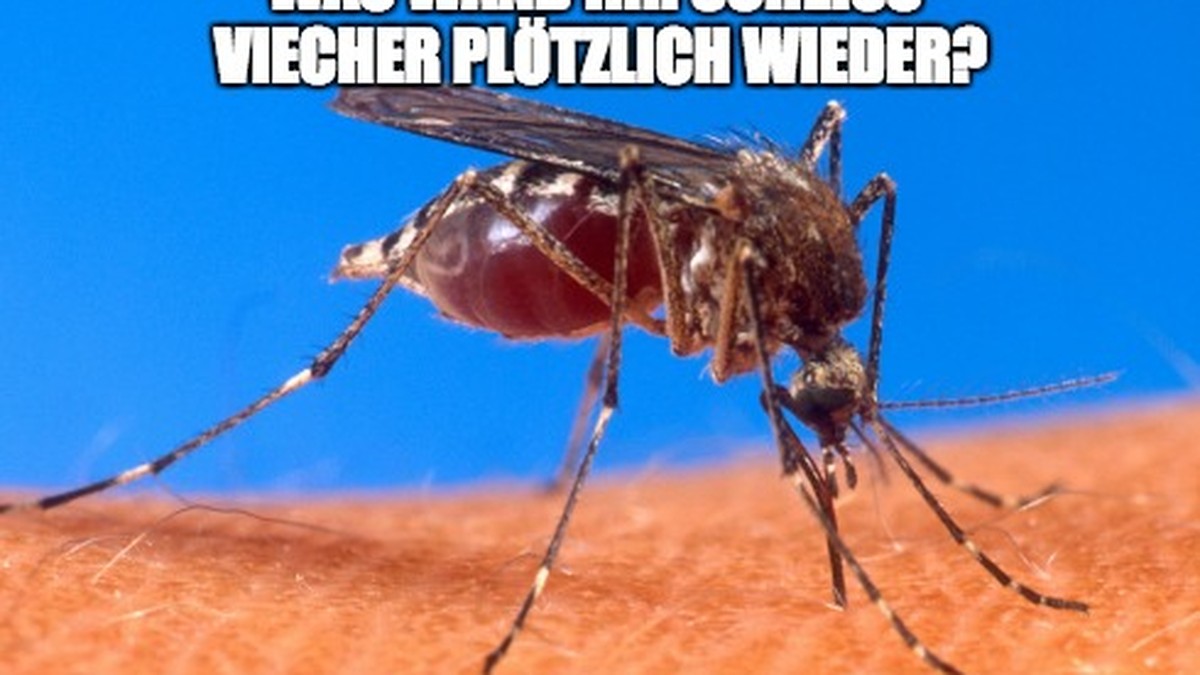 Die Blutsauger sind zurück!