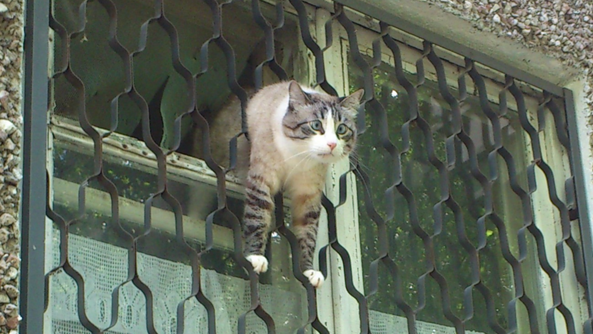 watson Picdump gegen Langeweile: Die besten Bilder der Woche