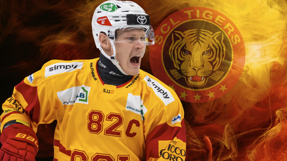 SCL Tigers in der Saison 2024/25: Alles zu Spieler, Trainer und Klub