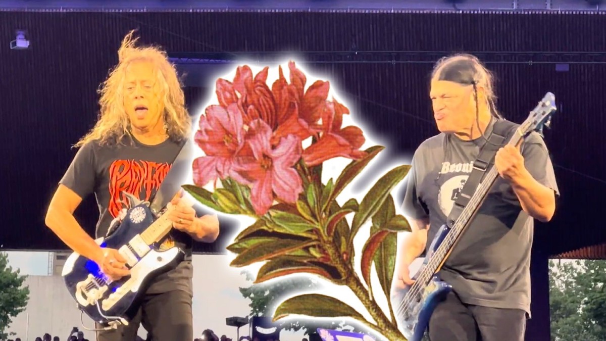 Metallica-Konzert in Zürich: Metal-Band spielt Mundart-Song