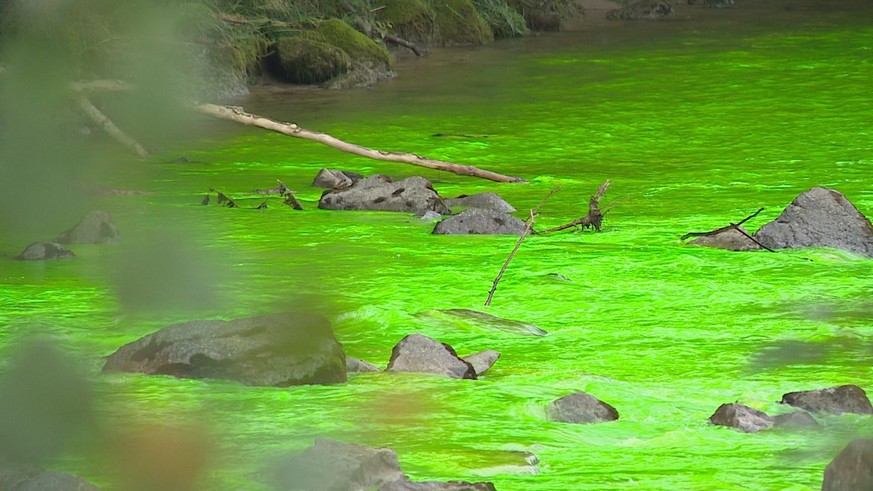 Die Sitter bei Zihlschlacht TG leuchtet giftgrün – das steckt dahinter