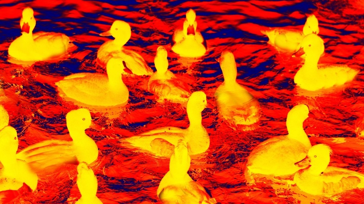 Hier kommen die 18 lustigsten Sommer-Stockbilder