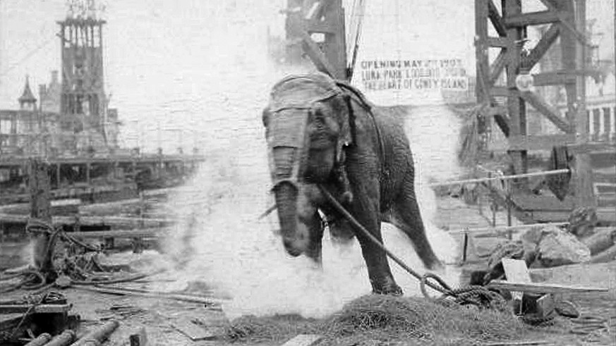 Als Thomas Edison einen Elefanten mit Wechselstrom hinrichten liess