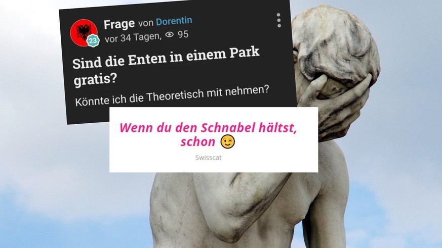 Die 15 lustigsten Fragen im Netz – und eure grandiosen Antworten dazu