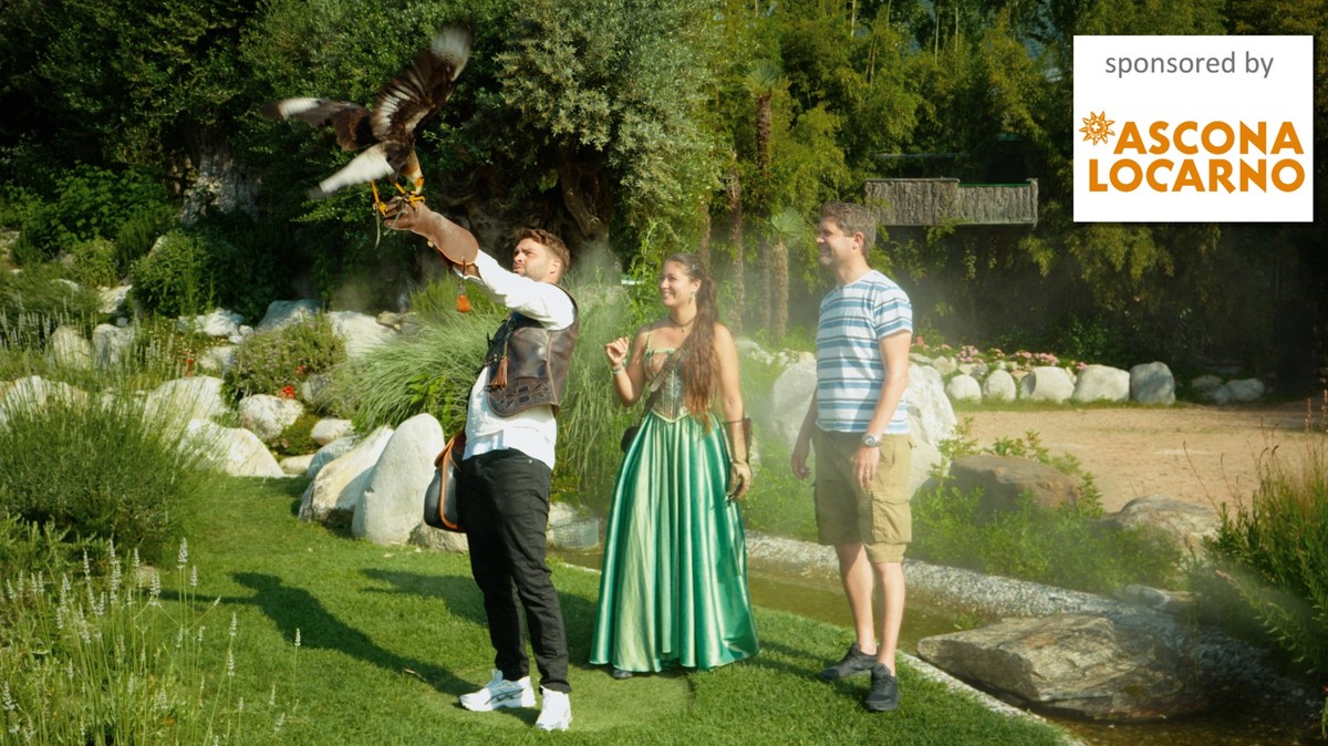 Falkner für einen Tag: Nico wagt den Tanz mit den grossen Greifvögeln