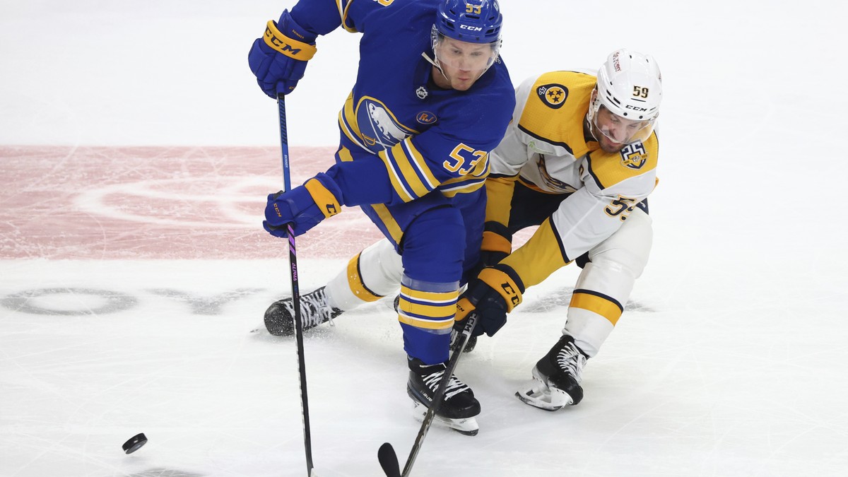 NHL: Wichtige Siege für Josis Predators und Fialas Kings