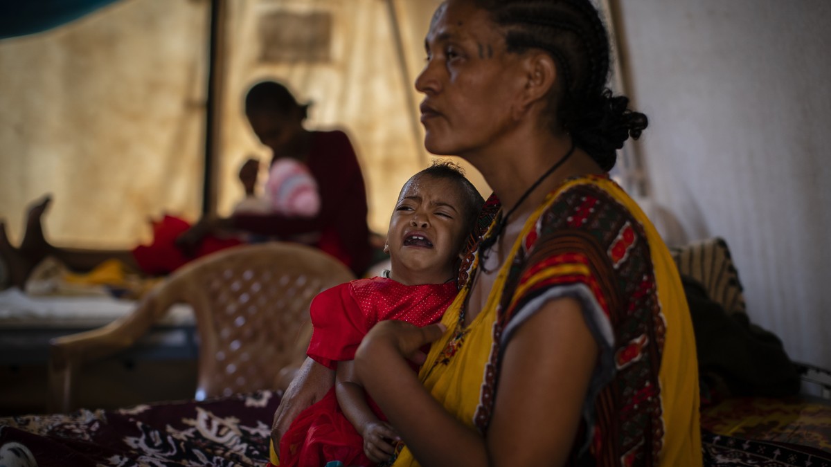 Weltweit hungern etwa 811 Millionen Menschen