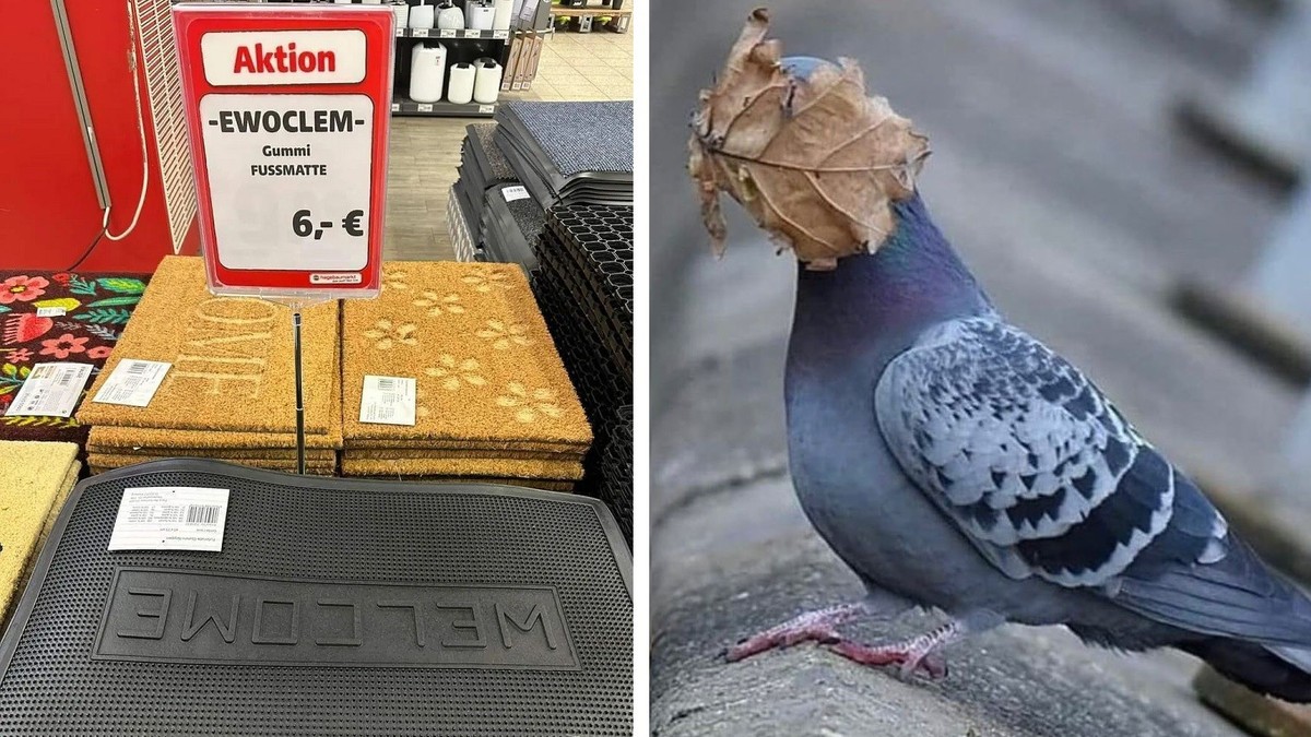 Ein bisschen Spass gefällig? Hier gibts die lustigsten Bilder der Woche