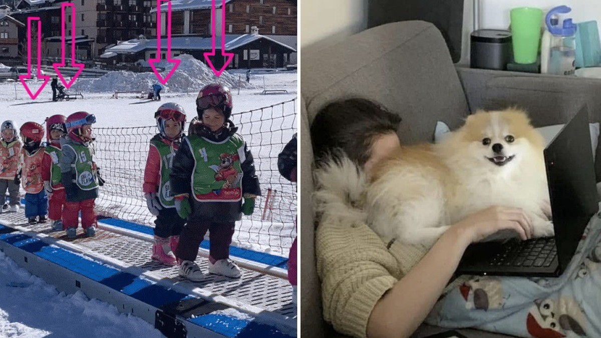 Die lustigsten Bilder der Woche, damit dir heute nicht langweilig wird