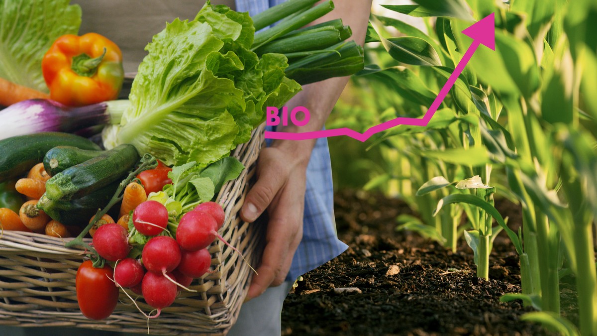 Bio-Boom in der Schweiz – die wichtigsten Zahlen und Fakten