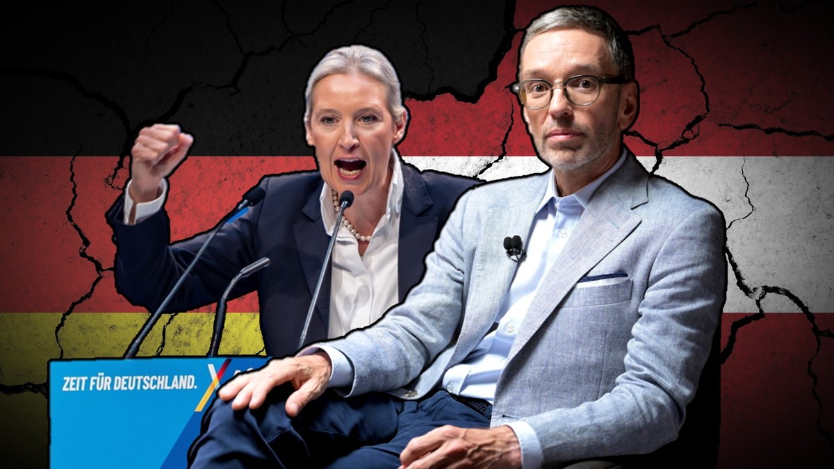 Vergleich AfD und FPÖ: Wie Alice Weidel Herbert Kickl nacheifert